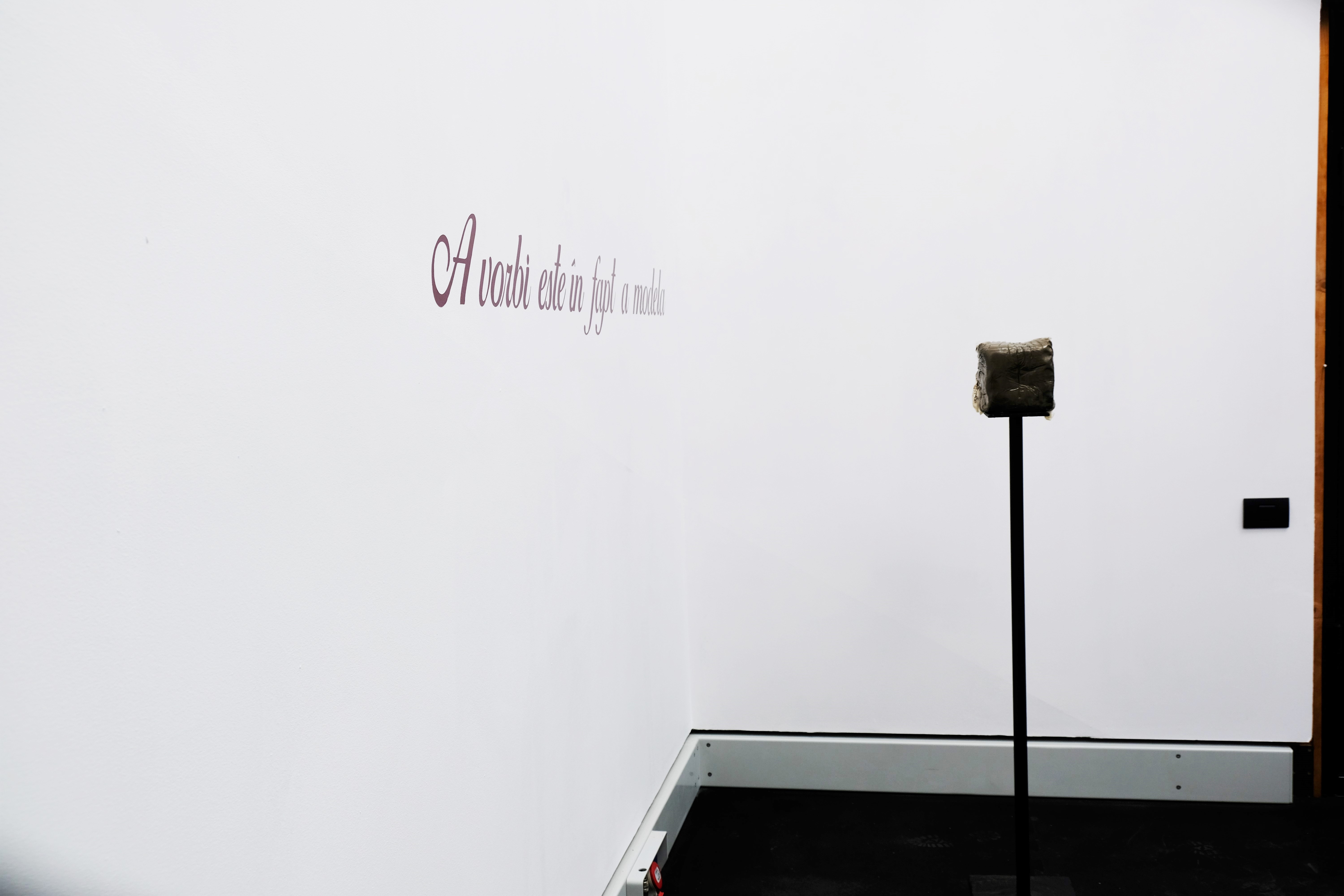 SALA MICĂ – CER DESCHIS